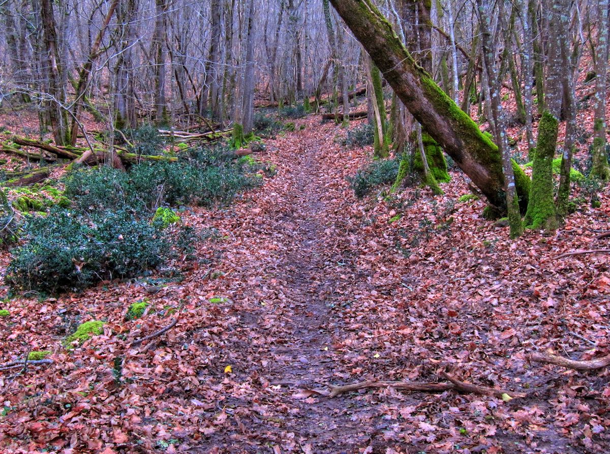 La Madeleine Loop hiking Trail - Walking Dordogne